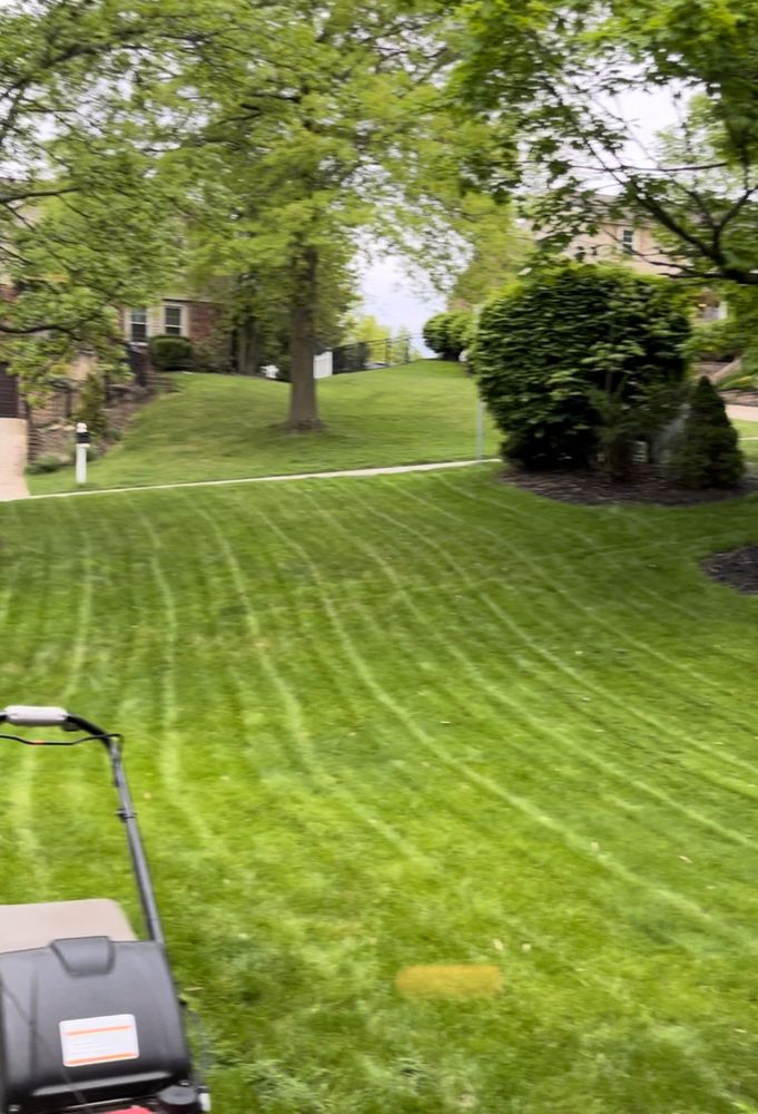FIRST CLASS GRASS - Updated May 2024 - Request a Quote - Upper St. Clair, Pennsylvania - Lawn ...