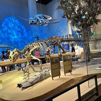 PEROT MUSEUM OF NATURE AND SCIENCE - Museum in Dallas, Texas at 2201 N ...