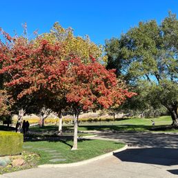 THE GRILL AT WENTE VINEYARDS - Updated July 2025 - 216 Photos & 175 ...