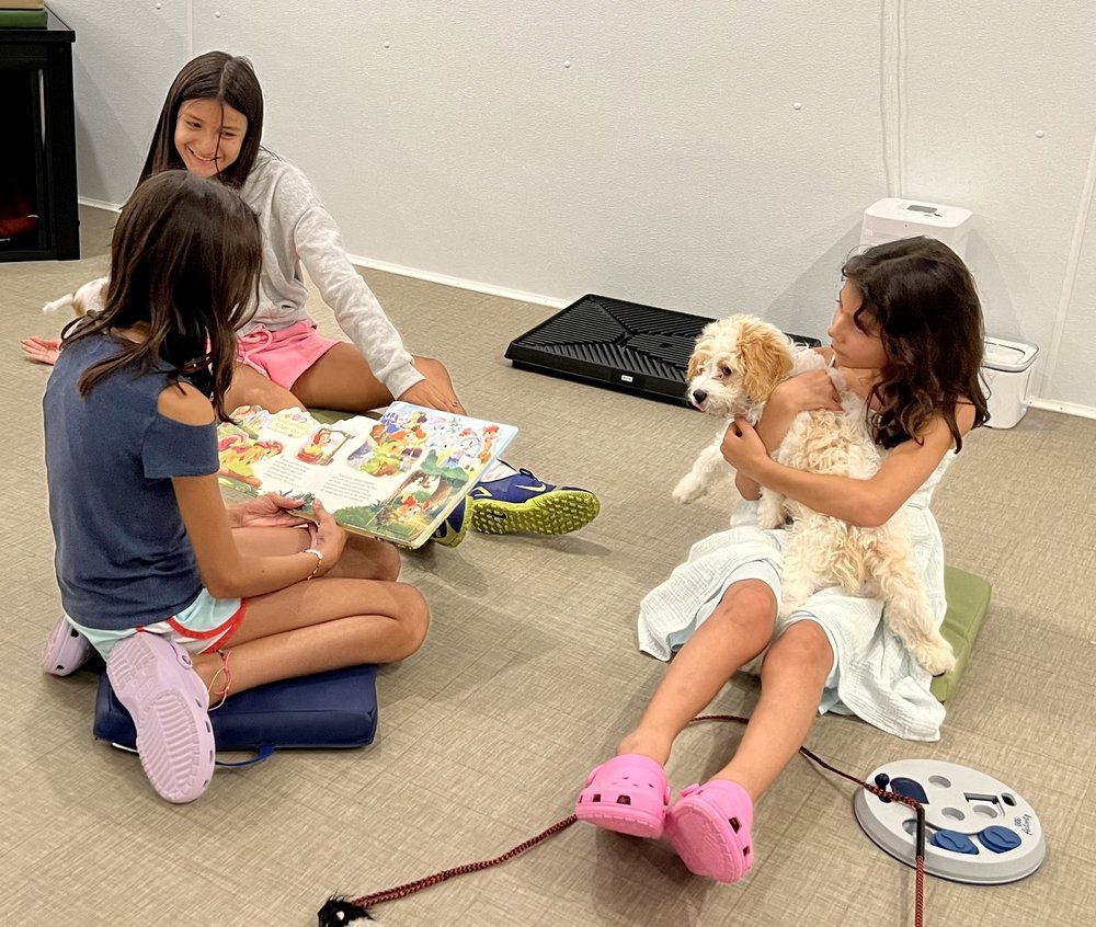 SMART PUPPIES . - Updated December 2025 - 501 Summer St, Stamford ...