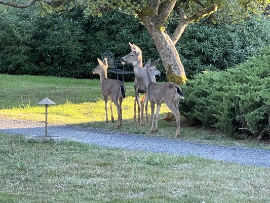 NORTHWEST VIPASSANA CENTER - DHAMMA KUNJA - Updated October 2025 - 25 ...