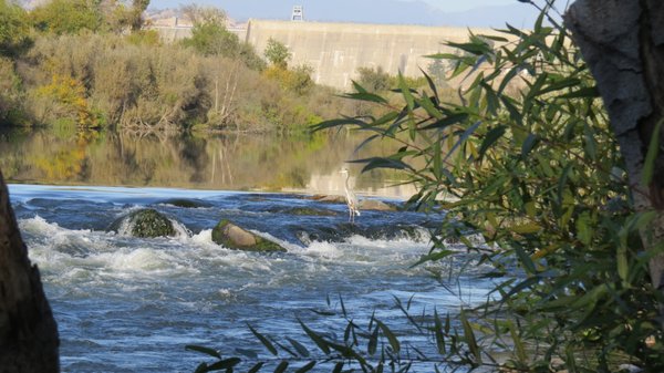 LOST LAKE PARK - 131 Photos & 21 Reviews - Parks - Fresno, CA