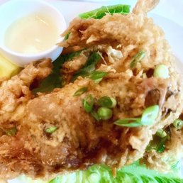 PASSIONFISH RESTON - Updated July 2024 - 1629 Photos & 989 Reviews ...