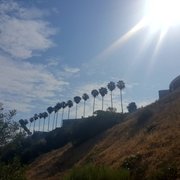 BLUFF TRAIL PARK - 73 Photos & 16 Reviews - 1 W Bluff, Playa del Rey ...