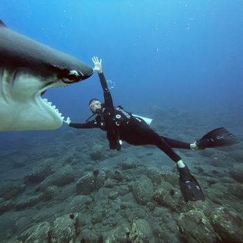 JACK’S DIVING LOCKER - Updated October 2024 - 235 Photos & 513 Reviews ...