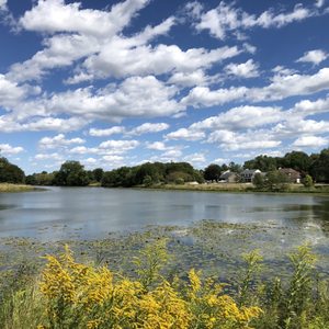 WHALON LAKE - 43 Photos & 17 Reviews - Royce Rd And Lisson Rd ...