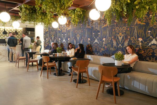 CAFE 295 - Updated January 2026 - 24 Photos - 295 The West Mall ...