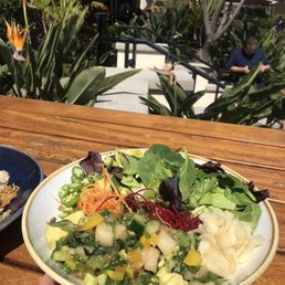 BASHI - 676 Photos & 293 Reviews - 100 Terranea Way, Rancho Palos ...