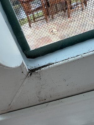 ROLLSHIELD HURRICANE SHUTTER MANUFACTURER - Updated December 2025 - 52 ...