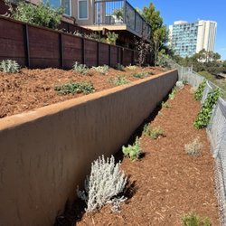 PACIFIC LANDSCAPING AND MAINTENANCE - 304 Photos & 104 Reviews - San ...