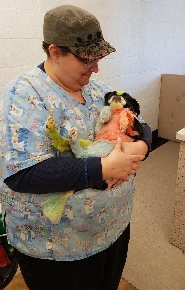 RILEY RUE PET SPAW - Updated July 2025 - 2709 Piedmont Ave, Duluth ...