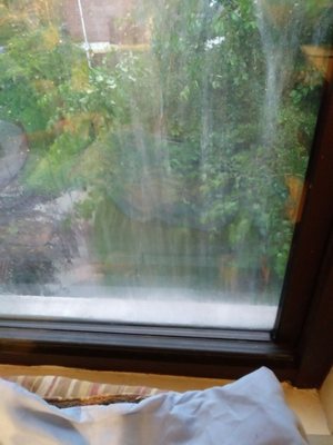 GREAT NECK TERRACE - Updated July 2025 - 2 E Mill Dr, Great Neck, New ...