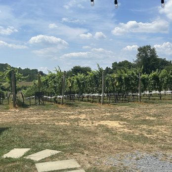 THREE FOX VINEYARDS & BREWERY - Updated October 2025 - 399 Photos & 230 ...