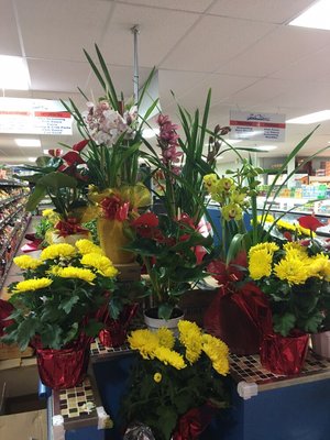 OCEAN CITY SEAFOOD MARKET - Updated June 2024 - 100 Photos & 32 Reviews ...