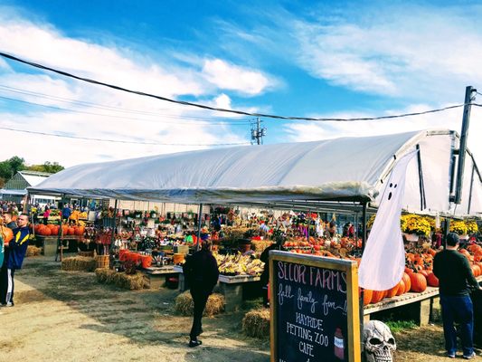 SECOR FARMS - 145 Photos & 61 Reviews - 168 Airmont Ave, Mahwah, New ...