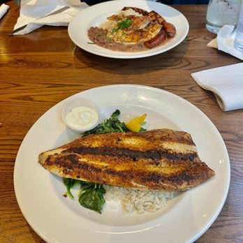 HALF SHELLS SEAFOOD GRILL - Updated November 2024 - 627 Photos & 565 ...