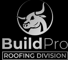 BUILDPRO ROOFING - Updated August 2025 - 462 Castlebury St, Middleton ...