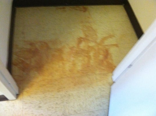 VIRGINIA TOWERS - Updated January 2026 - 500 Virginia Ave, Towson ...