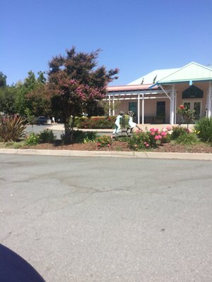 JOHN MUIR HEALTH BEHAVIORAL HEALTH CENTER, INPATIENT SERVICES - Updated ...