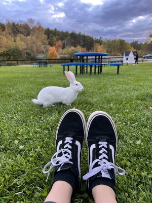 SANCTUARY DAIRY FARM ICE CREAM - Updated January 2026 - 52 Photos & 66 ...