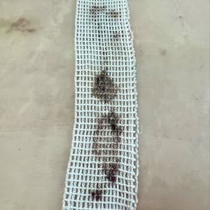 TAYLOR R DUNPHY, MD - Updated January 2026 - 37 Reviews - 22 Corporate ...