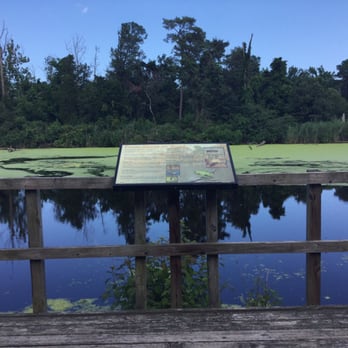 FLAG PONDS NATURE PARK - Updated December 2025 - 90 Photos & 46 Reviews ...