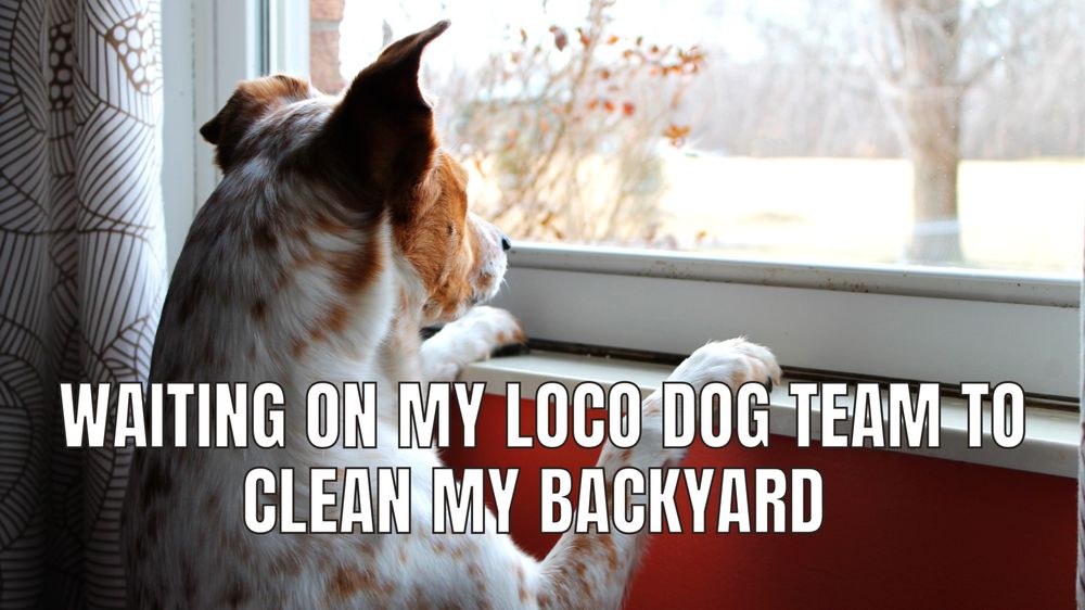 MY LOCO DOG PET WASTE REMOVAL - Updated March 2025 - Request ...