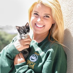 SPCA MONTEREY COUNTY - Updated June 2025 - 135 Photos & 111 Reviews ...