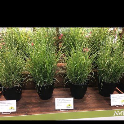 GREATER COLUMBUS CONVENTION CENTER PARKING GARAGE - Updated October ...