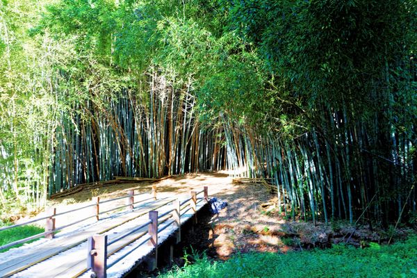 CAMELOT MEADOWS - Updated July 2025 - 16 Photos - 1335 Armstrong Rd ...