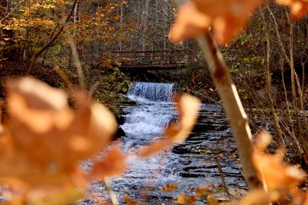 SAUNDERS SPRINGS NATURE PRESERVE - 125 Photos & 24 Reviews - N Wilson ...