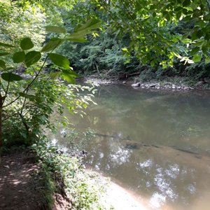 PENNYPACK PARK - 183 Photos & 29 Reviews - Parks - 8635 Pine Rd ...