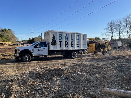 BALDI TREE - Updated December 2025 - 64 Photos - 403 Federal Furnace Rd ...