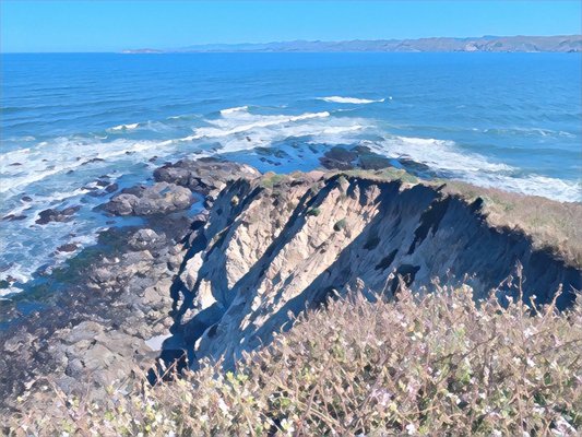 TOMALES POINT TRAIL - TULE ELK PRESERVE - 940 Photos & 135 Reviews ...