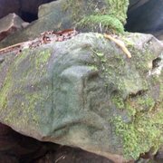 WORDEN’S LEDGES - 24 Photos - 895 Ledge Rd, Hinckley, OH - Yelp