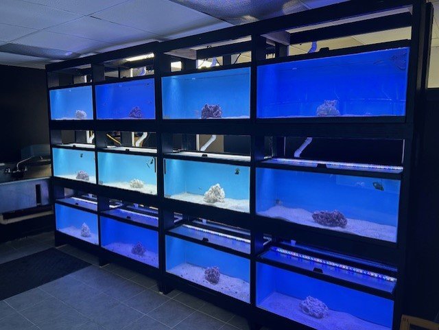 OCEAN AQUARIUM AND PONDS - Updated September 2025 - 20 Photos - 1067 N ...