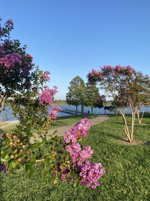 LAKE HALBERT BEACH PARK - Updated December 2025 - 20 Photos - 1600 Lake ...