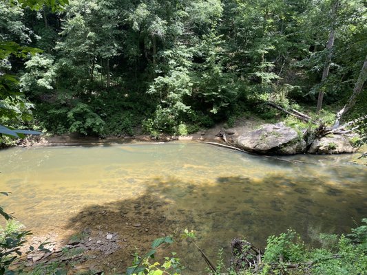 BANKHEAD NATIONAL FOREST - Updated October 2025 - 45 Photos - 1070 AL ...