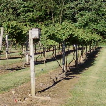 FRENCH RIDGE VINEYARDS & WINERY - Updated July 2025 - 33 Photos & 23 ...