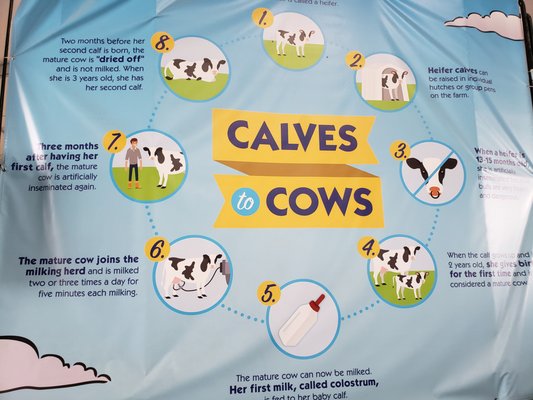 NEW YORK STATE FAIR - 510 Photos & 86 Reviews - 581 State Fair Blvd ...