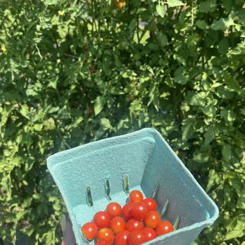 BUTLER’S ORCHARD - Updated June 2025 - 795 Photos & 416 Reviews - 22222 ...