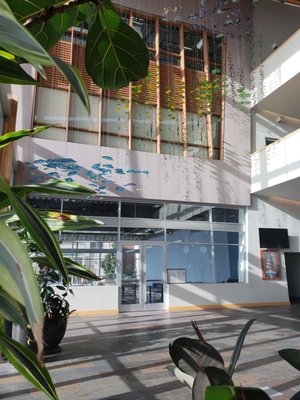 UNIVERSITY PLACE PIERCE COUNTY LIBRARY - Updated December 2025 - 16 ...