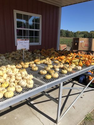 KAPTEYN FARM - Updated December 2025 - 4675 84th St SW, Byron Center ...