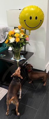 SANDY FLOWER SHOP - Updated August 2025 - 57 Photos & 18 Reviews - 9495 ...