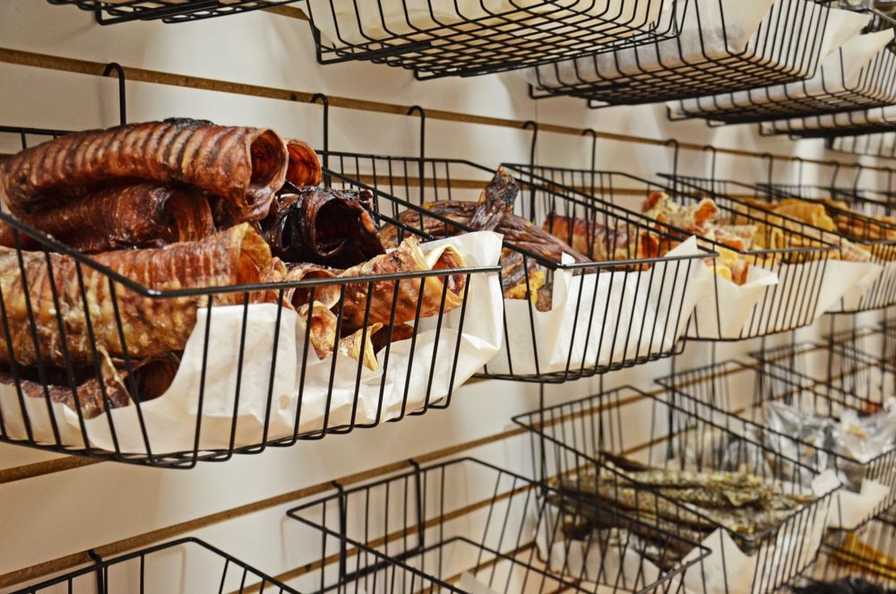 ASGARD RAW DOG & CAT FOOD - Updated November 2025 - 10 Sedgwick St ...