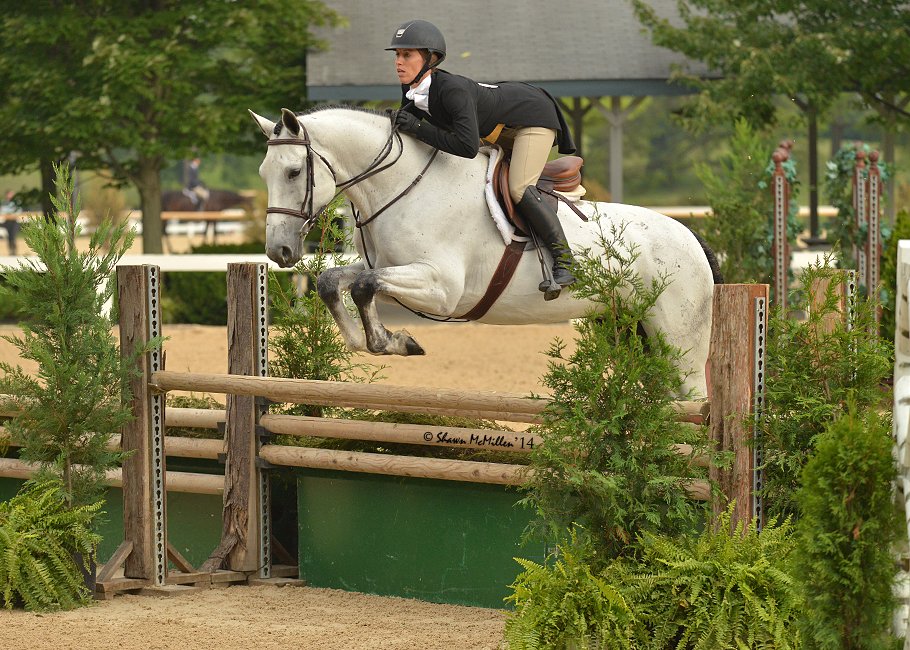 CATCHRIDE - Updated November 2024 - 1861 Muleshoe Rd, Dallas, Texas ...