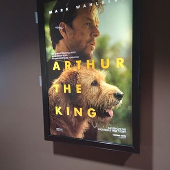 AMC NORWALK 20 - Updated May 2024 - 370 Photos & 392 Reviews - 12300 E ...