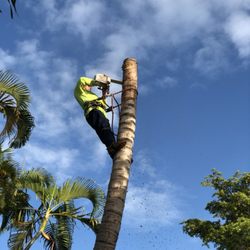 WOLFER LANDSCAPE SERVICES - 36 Photos - 5371 SW 58th Ave, Davie ...