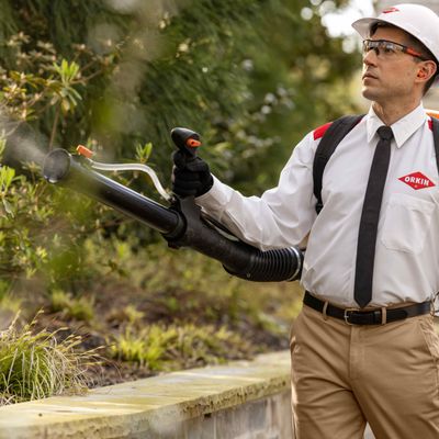 ORKIN PEST & TERMITE CONTROL - Updated January 2025 - 13 Photos - 1002 ...