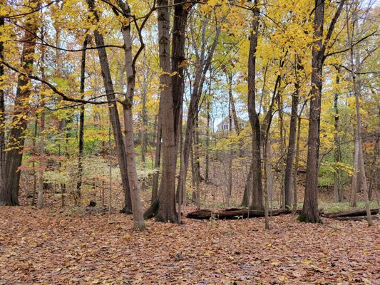 OVERBROOK RAVINE PARK - Updated October 2025 - 100 Overbrook Dr ...